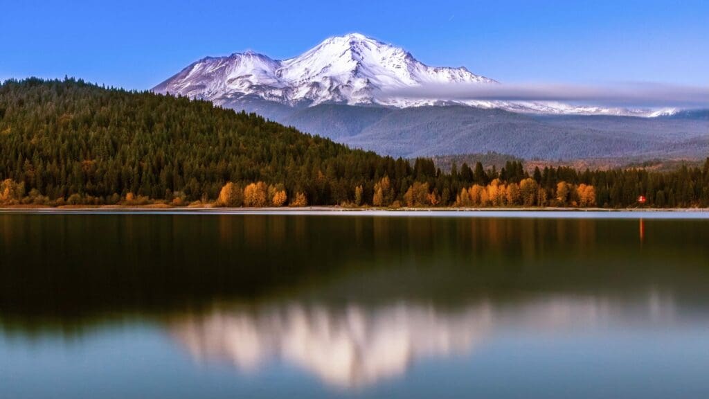 Trail Life - Simpson University